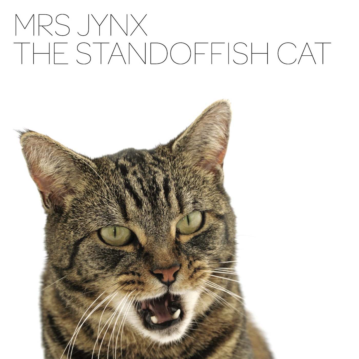 Planet Mu • The Standoffish Cat